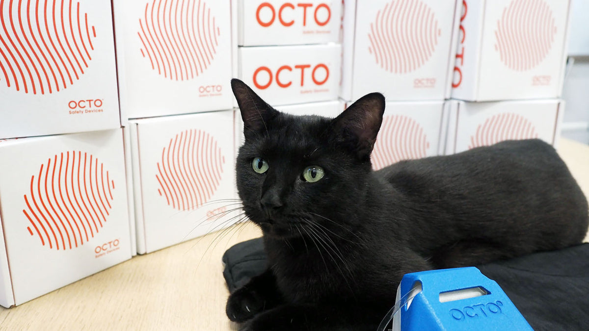 Staff Spotlight: Meet Puki